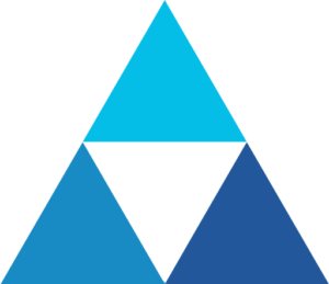 What We Do – Blue Investment Group